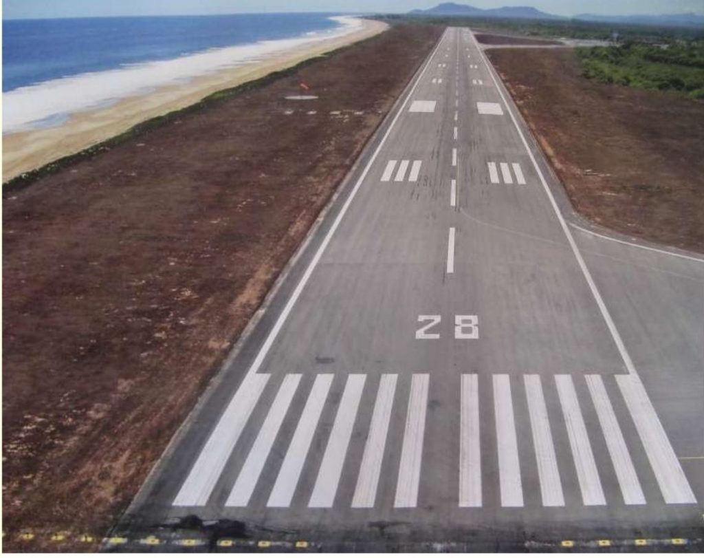 What is that tree? Manzanillo, Manzanilla, Manchineel? – Manzanillo Sun