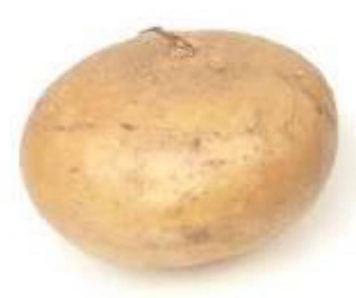 Jicama – Manzanillo Sun