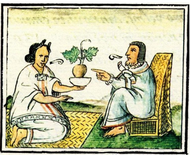 AZTEC MEDICINE – Manzanillo Sun