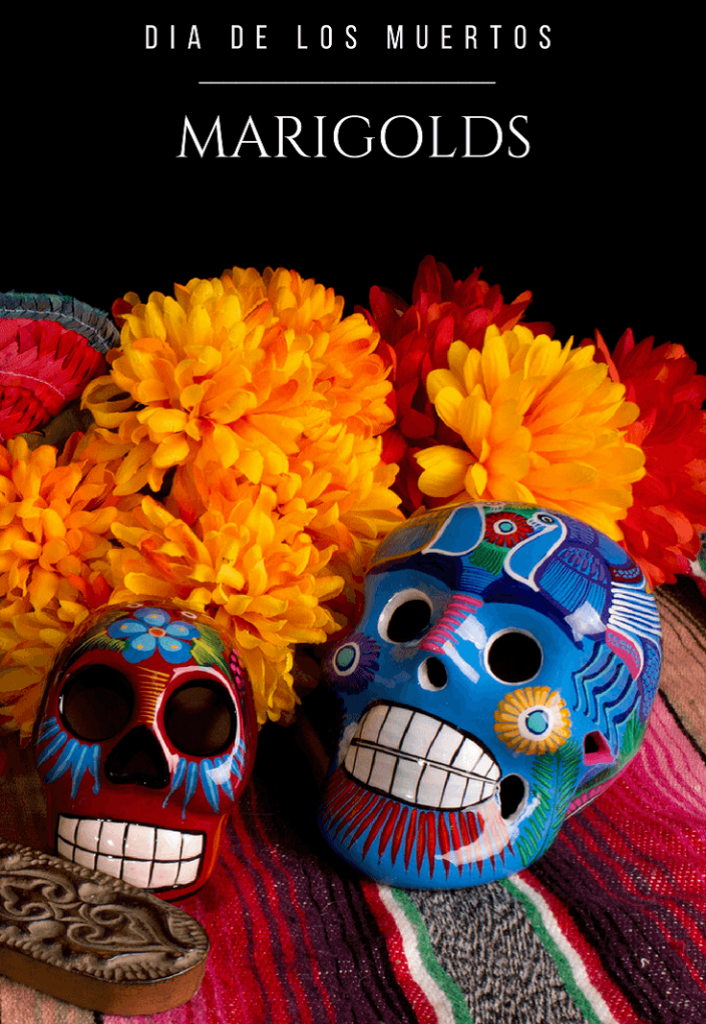 Mexican Marigolds – Manzanillo Sun