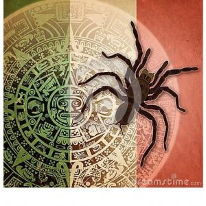 The Aztec Owl – Manzanillo Sun