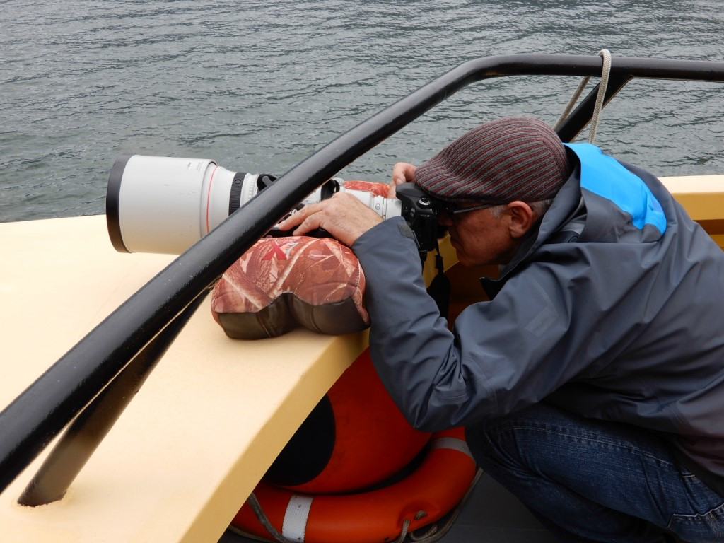 Hunting Grizzly Bears… with Camera – Manzanillo Sun