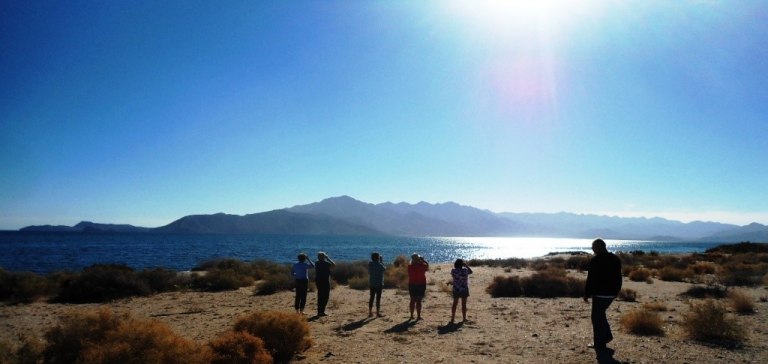 Bahía de los Ángeles – Manzanillo Sun