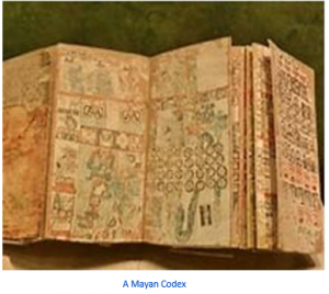 A Mayan Rabbit Story – Manzanillo Sun